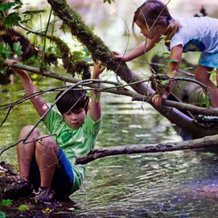 Natural Playgrounds Store